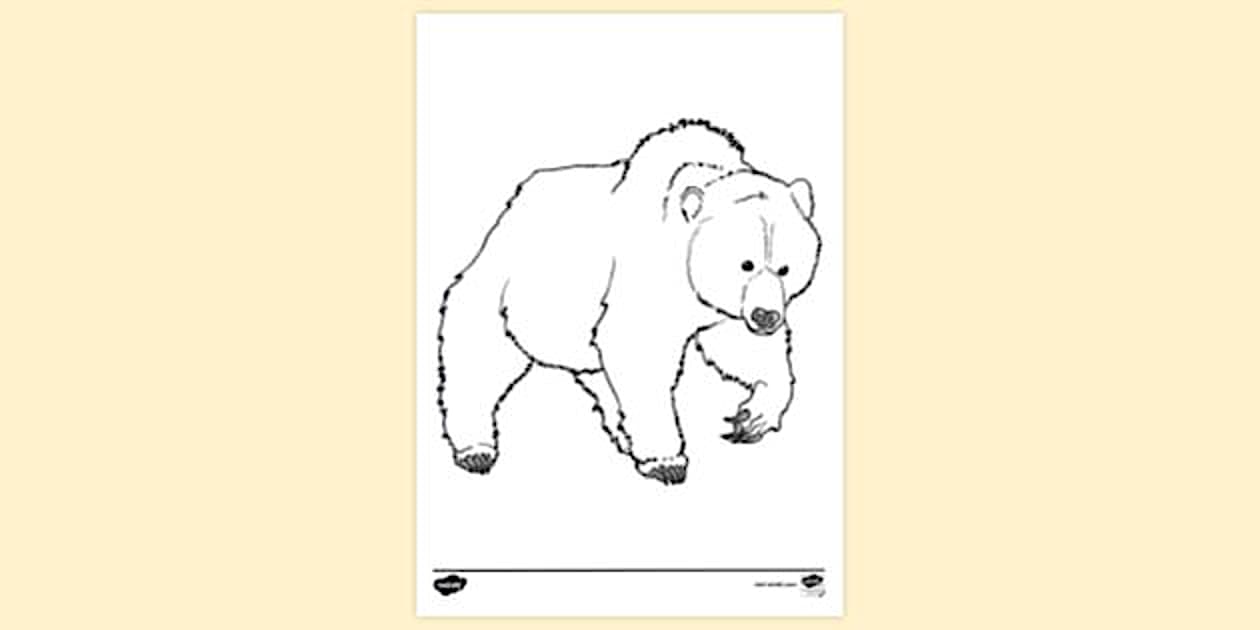 Bear Colouring Page For Children | Colouring Sheets - Twinkl