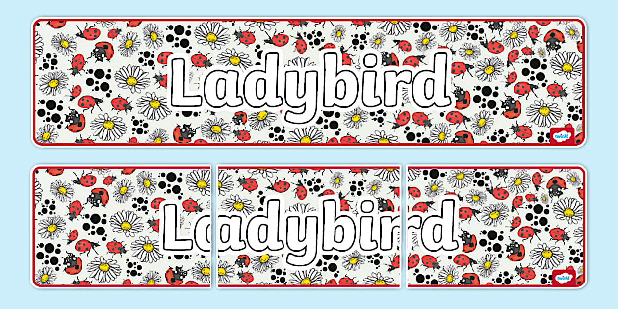 Ladybird Themed Classroom Display Banner (teacher made)