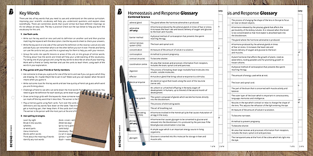 Homeostasis and Response Glossary | GCSE Biology | Beyond