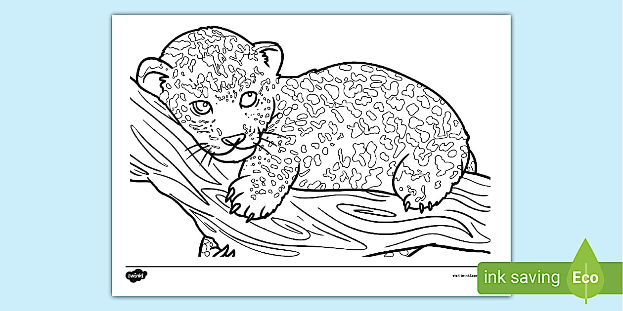 Baby Leopard Colouring Sheet | Primary Resources | Twinkl