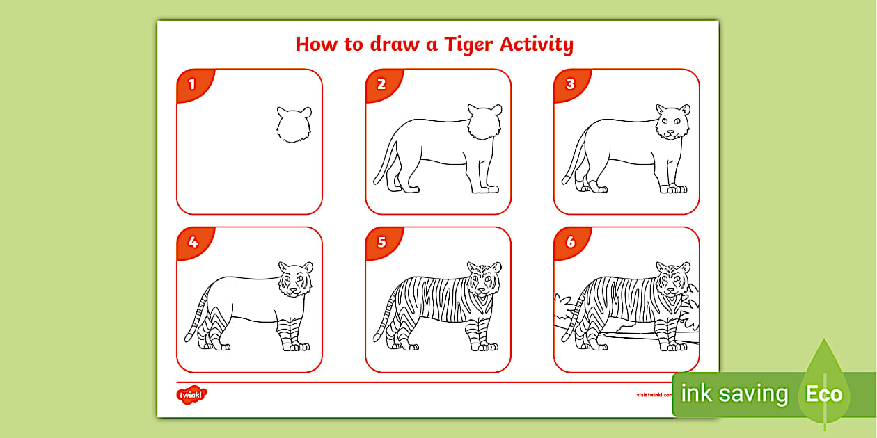 How to Draw a Tiger - Primary Resources (teacher made)