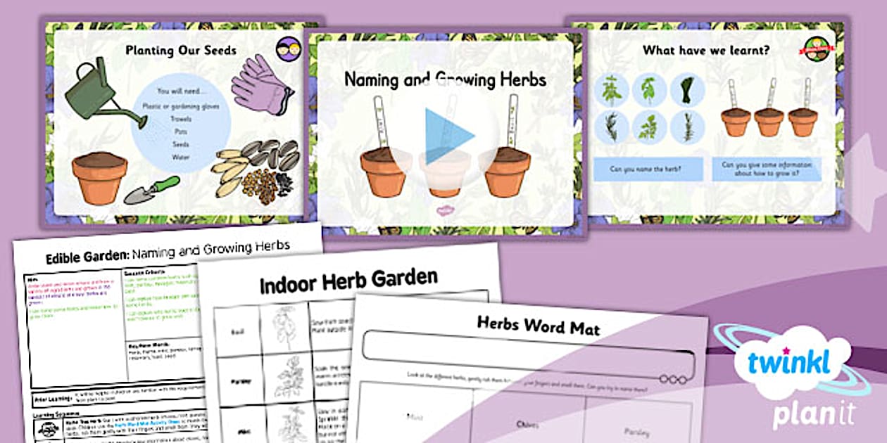 Planting a Garden Lesson Plan - Naming & Growing Herbs - KS2