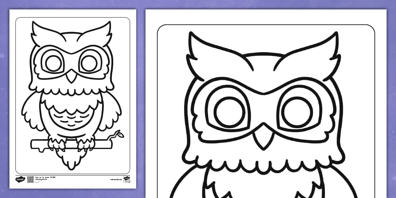 Owl Template | Owl Colouring Sheet | Twinkl (teacher made)