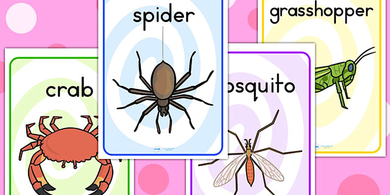 Minibeasts Display Posters (Teacher-Made) - Twinkl