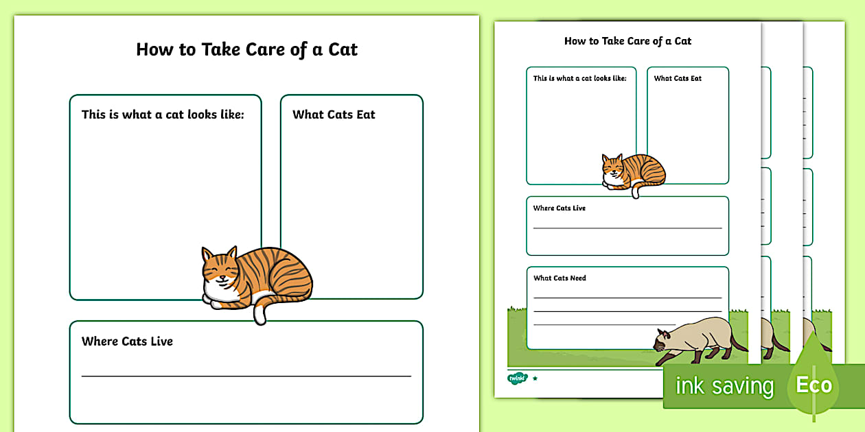 Editable How To Take Care of a Cat Fact File - Twinkl