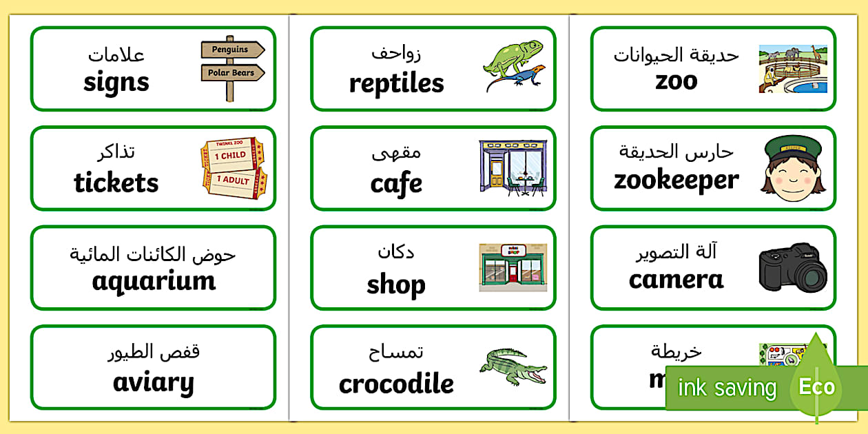 At the Zoo Word Cards Arabic/English (teacher made) - Twinkl