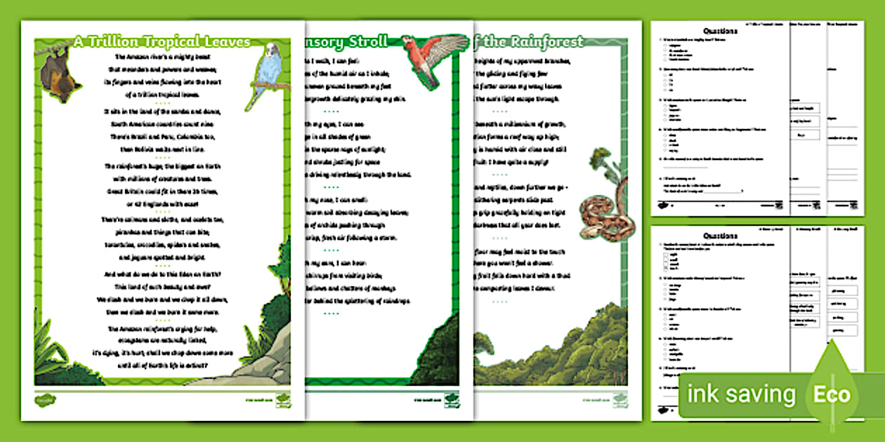 Rainforest Poems KS2 Differentiated Reading Comprehension Activity