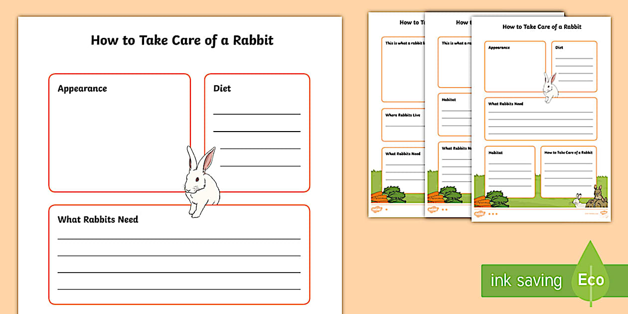 KS1 How to Look After a Rabbit Differentiated Fact File Worksheet ...