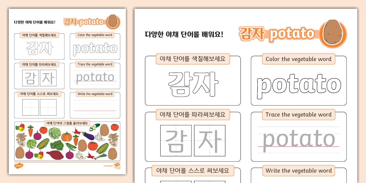 한글과 영어 동시에 완성하기 | 야채 | 감자 | Vetetables Potato Tracing Activity (Korean