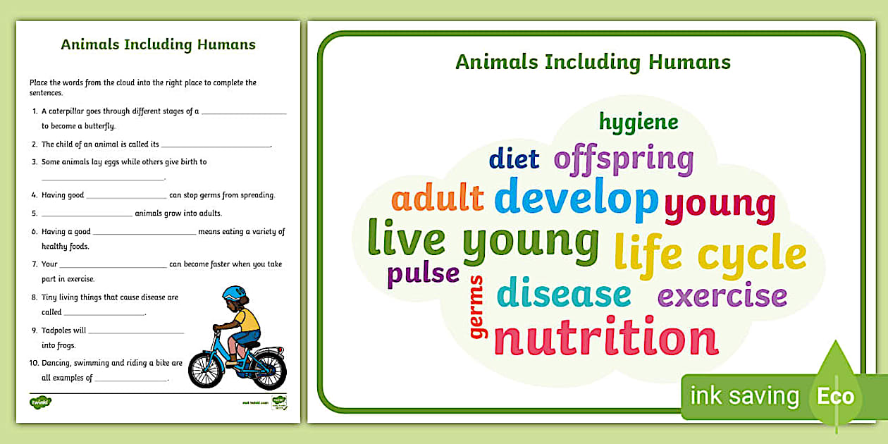 Y2 Animals Including Humans Vocab Cloud and Questions