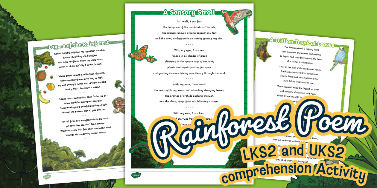 Rainforest Poems LKS2 & UKS2 Reading Comprehension Activity