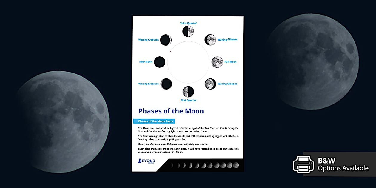 Phases of the Moon Poster (Southern Hemisphere) - Twinkl