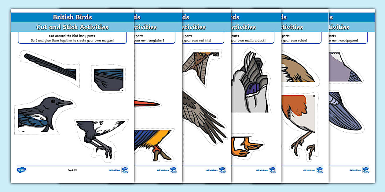 British Birds Cut and Stick Activity Sheets - Twinkl