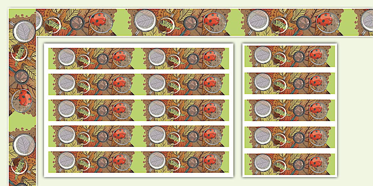 Magnifying Glass Display Border - Science (teacher made)