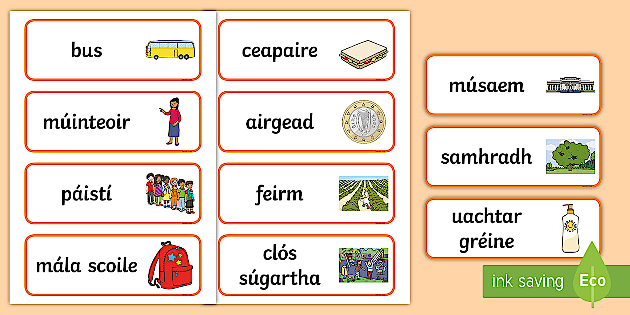 Cartaí Focail: Turas Scoile - Gaeilge (teacher made)