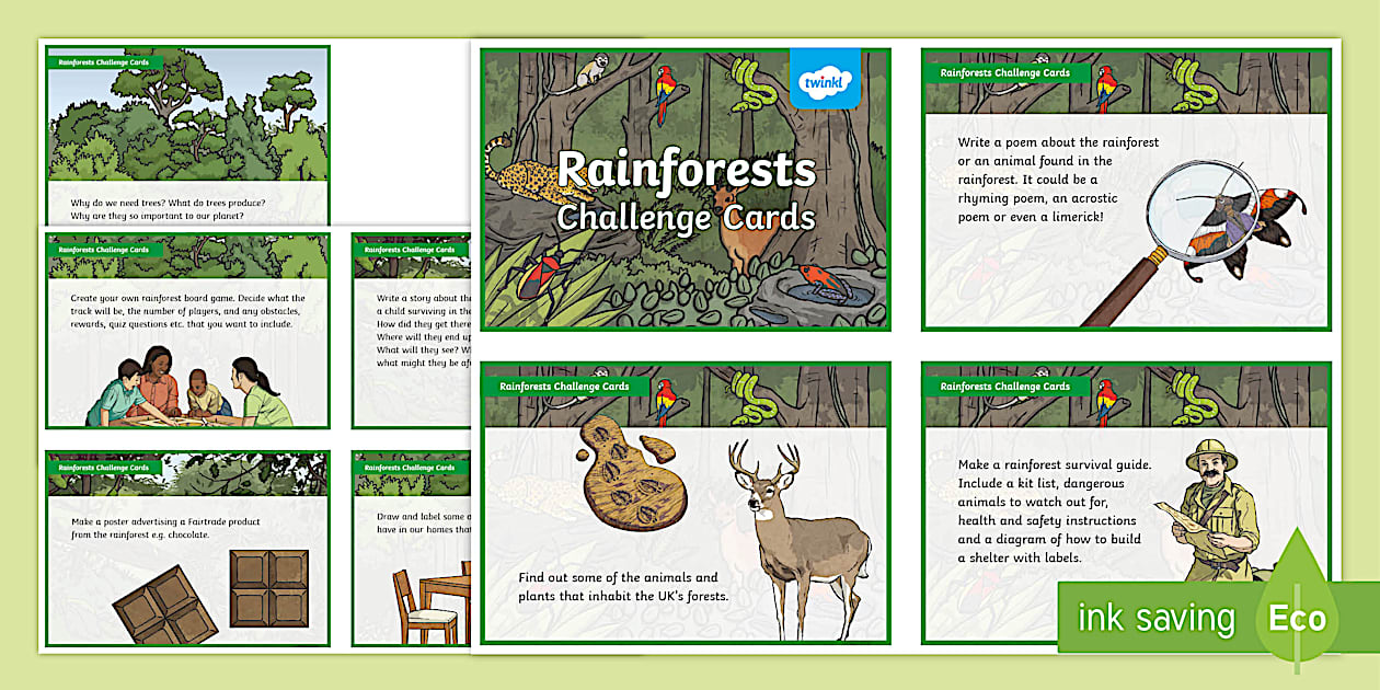 Rainforests Challenge Cards (teacher made) - Twinkl