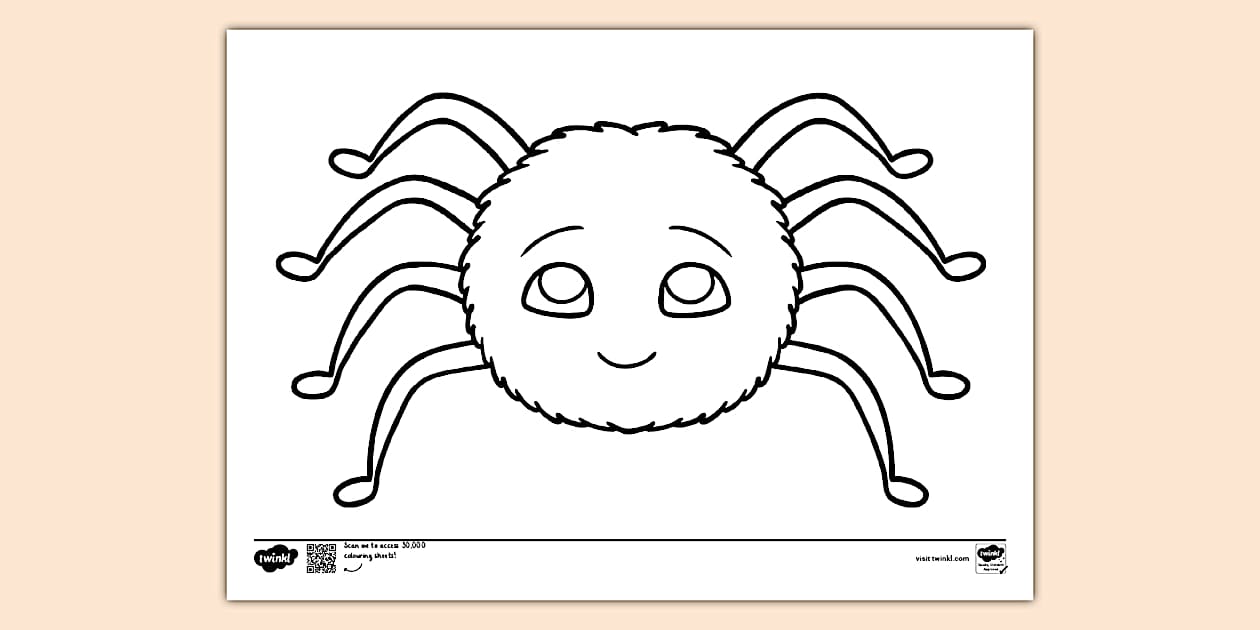 Spider Colouring Sheet | Colouring Pages (teacher made)