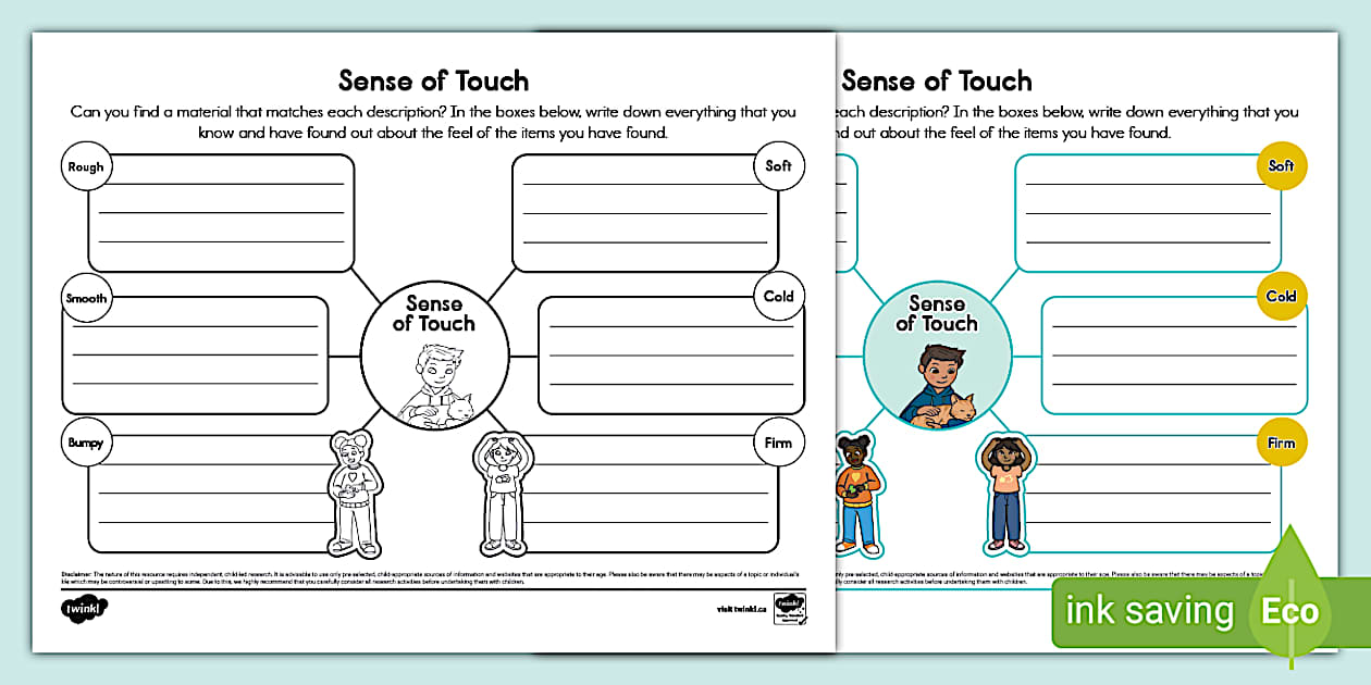 Sense of Touch Mind Map (teacher made) - Twinkl