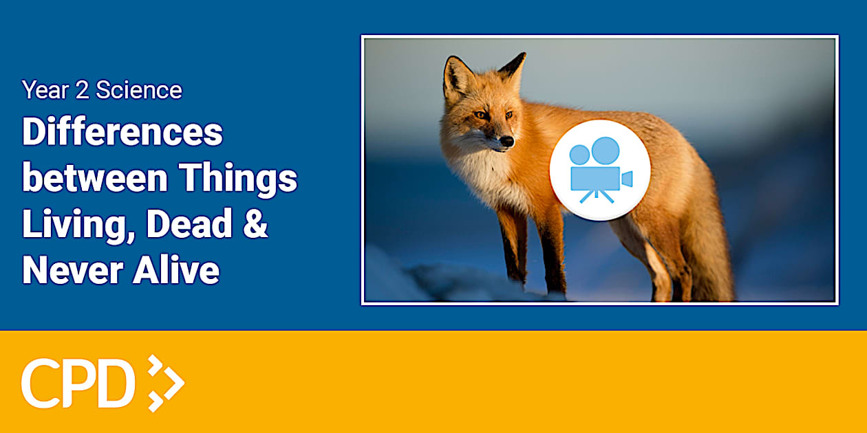 How to Teach Year 2 about the Differences Between Things that are Living,