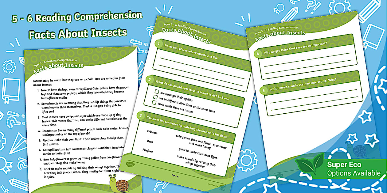 Reading Comprehension: Facts about Insects (Ages 5 - 6)
