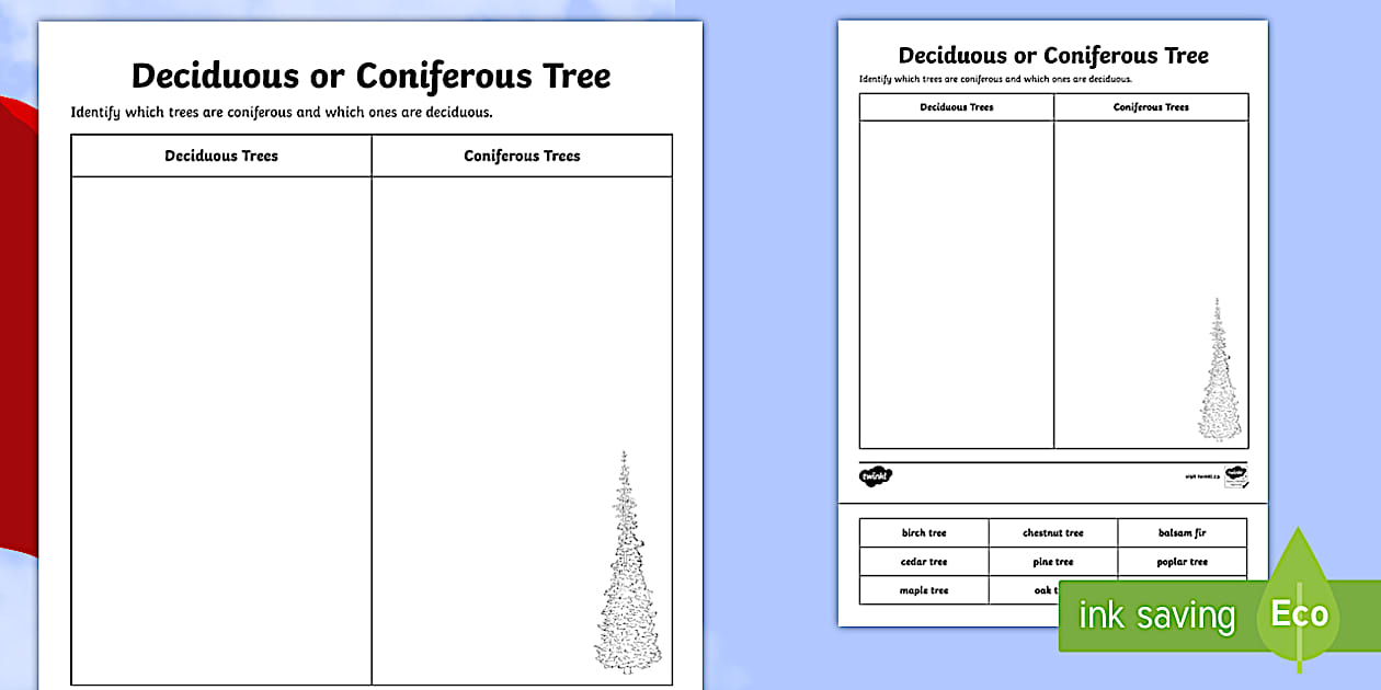 Deciduous or Coniferous Tree Activity (Teacher-Made)