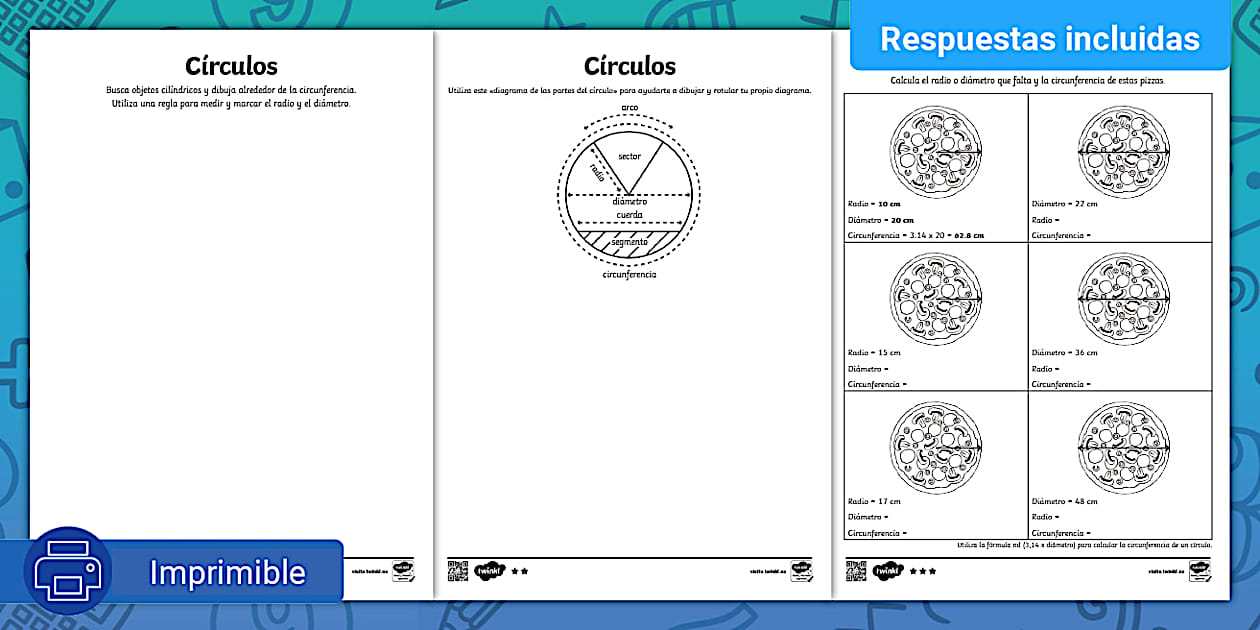 Fichas de actividad por niveles: Partes del círculo - Diámetro y radio