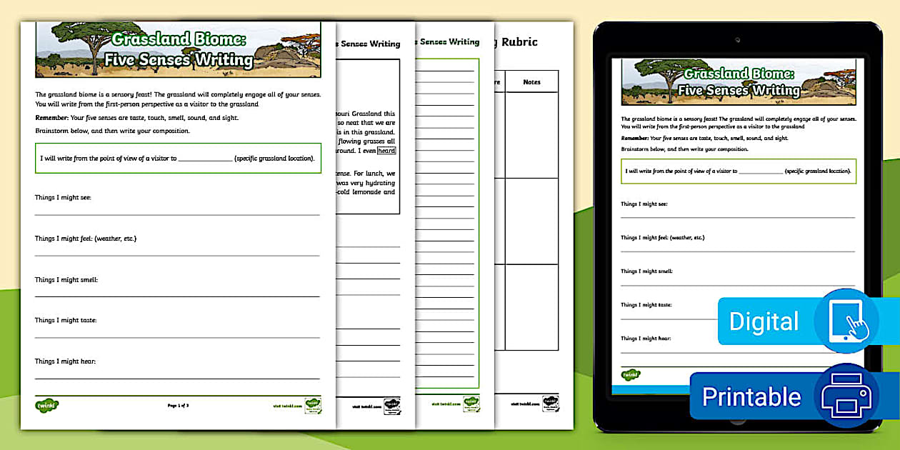 Grassland Biome Five Senses Writing Worksheet - Twinkl