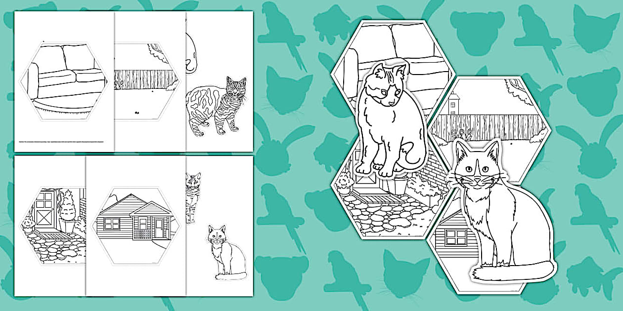Cats Hexagon Display Colouring Activity (teacher made)