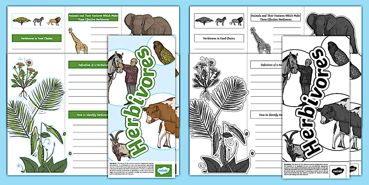 Herbivores Leaflet Template (teacher made) - Twinkl