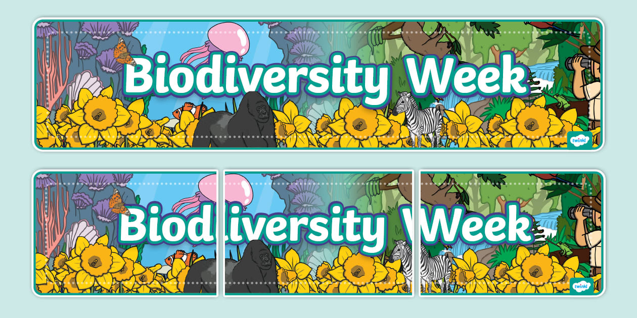 Biodiversity Week Display Banner (professor feito) - Twinkl
