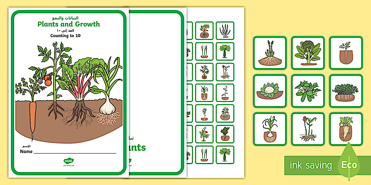 Plants and Growth Counting to 30 Cut and Paste Booklet Arabic/English ...