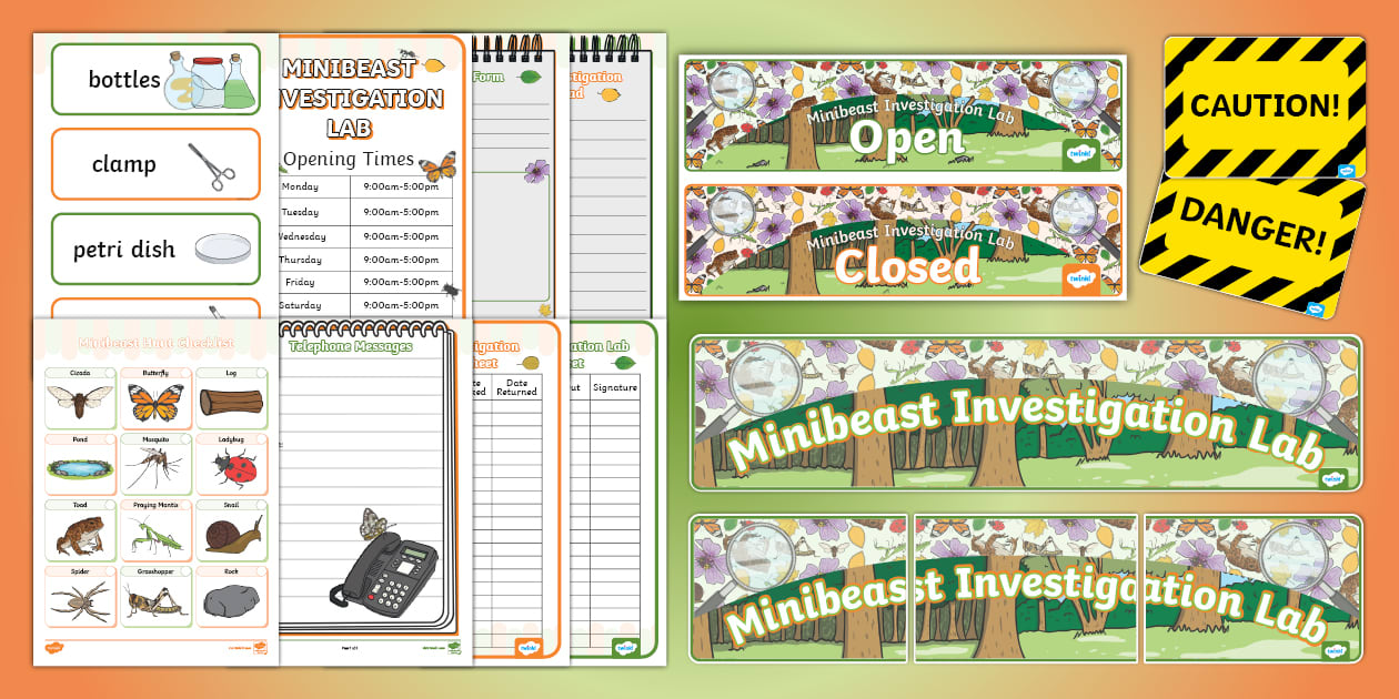 Minibeasts Investigation Lab Roleplay Pack (teacher made)