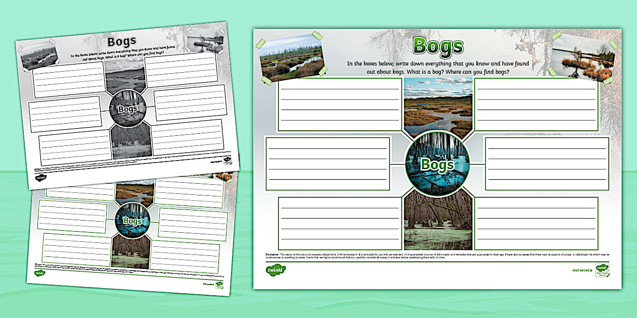 Bogs Mind Map (Teacher-Made) - Twinkl