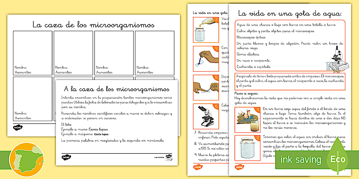 Experimento de Ciencias: La vida en una gota de agua