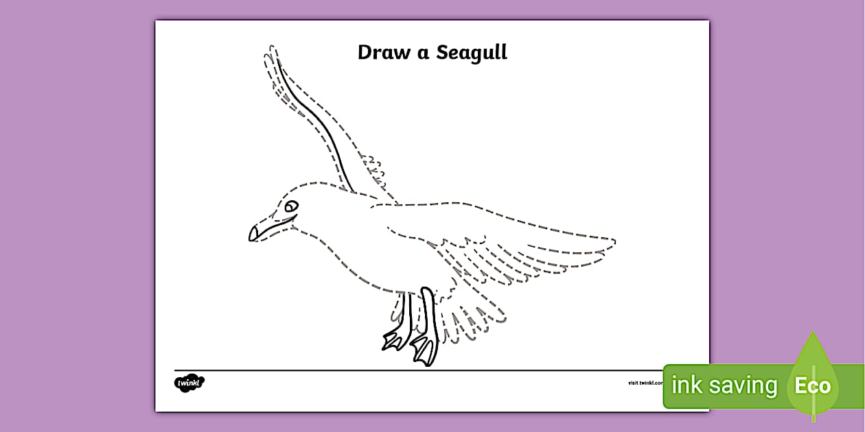 EYFS Draw a Seagull Pencil Control Activity (teacher made)