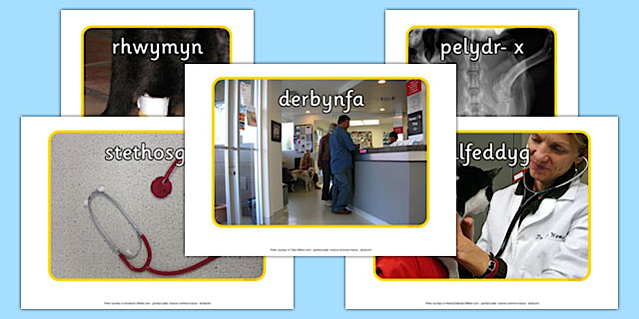Cursive Veterinary Surgery Display Photo Pack (teacher made)