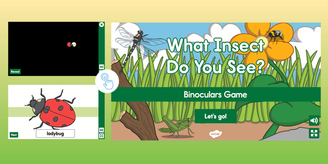 Early Childhood Insects Interactive Binoculars Game - Twinkl