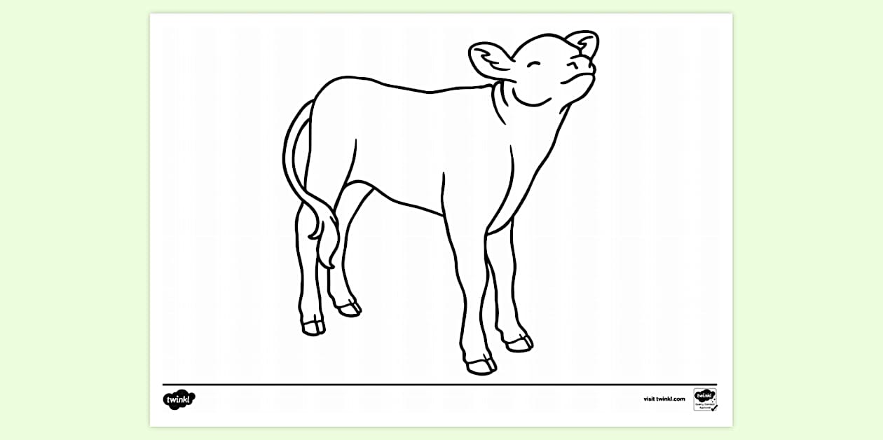 Baby Cow Colouring Sheet | Colouring Sheets - Twinkl