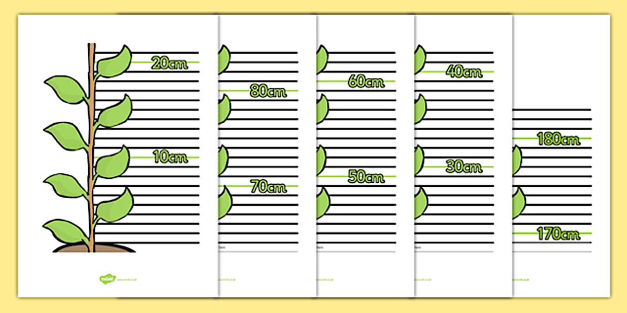 Editable Beanstalk Height Chart (teacher made) - Twinkl