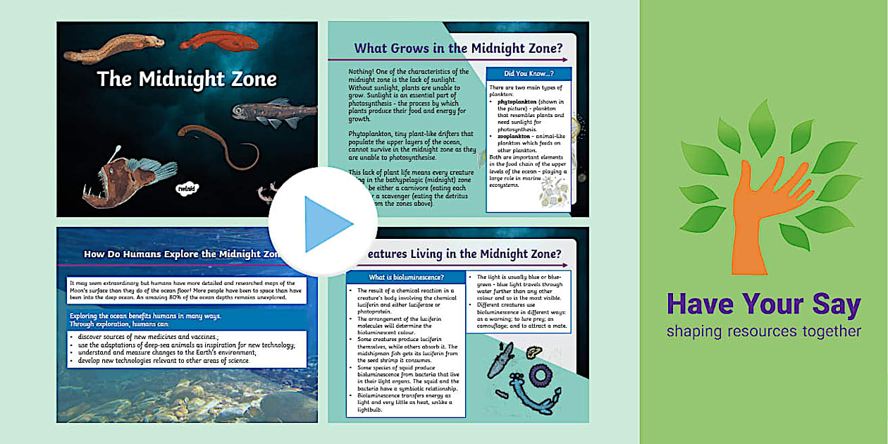 The Midnight Zone (teacher made) - Twinkl