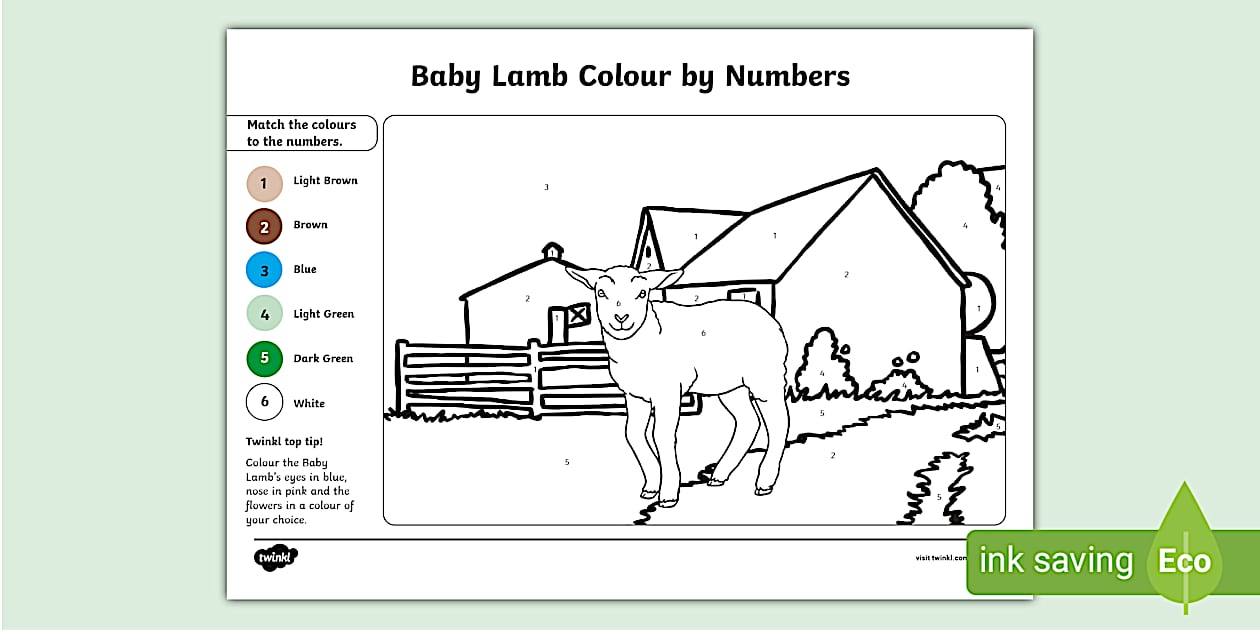 Baby Lamb Colour by Number (teacher made) - Twinkl