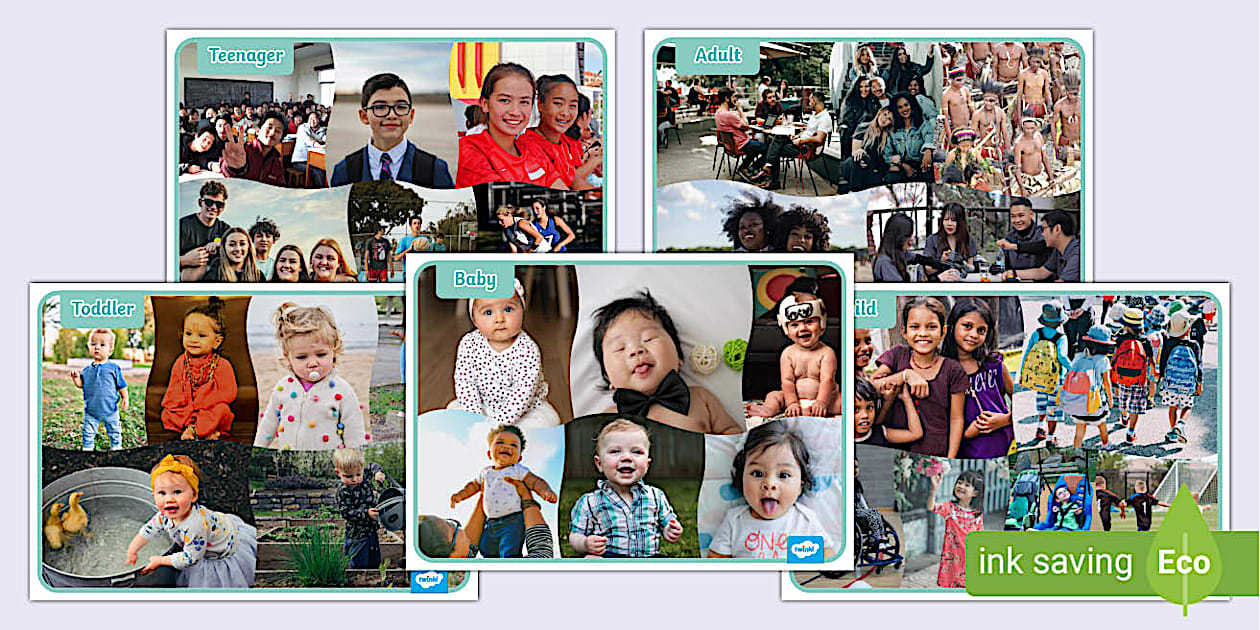 Human Growth Photo Posters (teacher made) - Twinkl