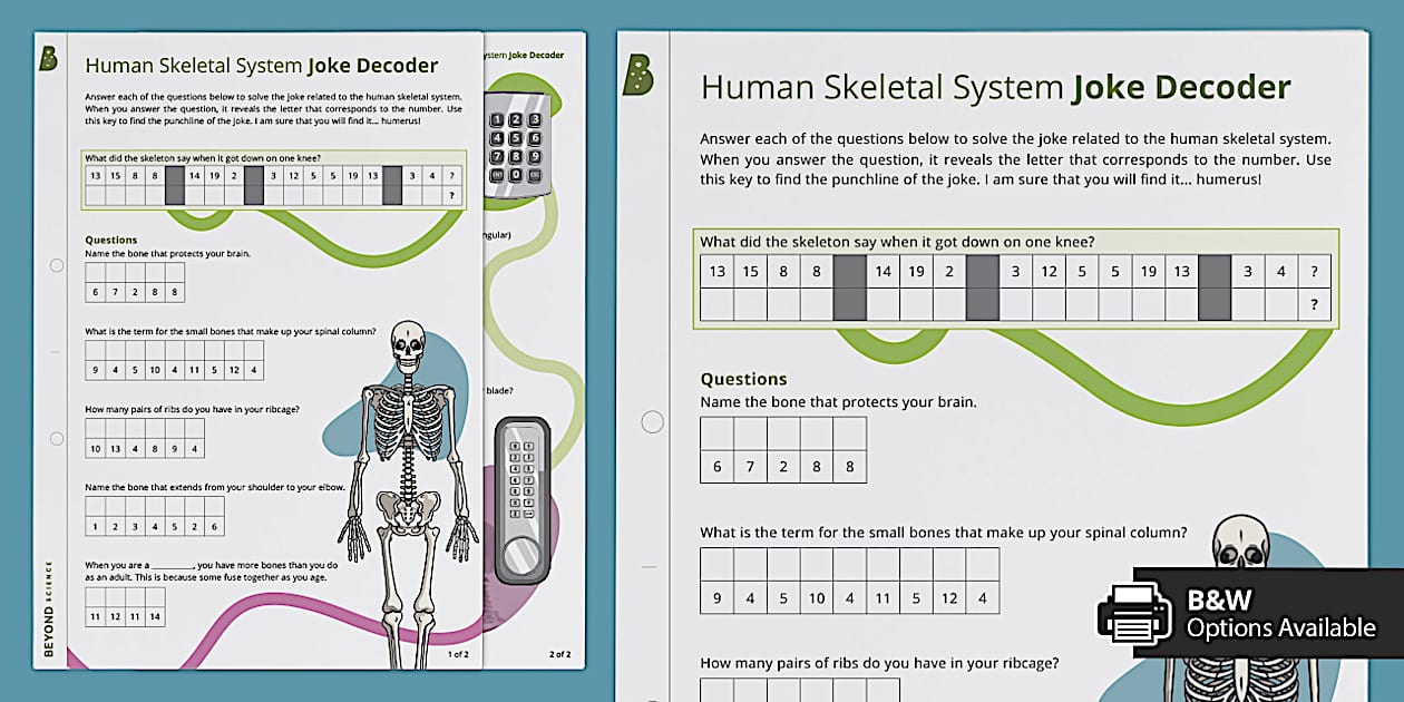 Human Skeletal System Joke Decoder (teacher made) - Twinkl