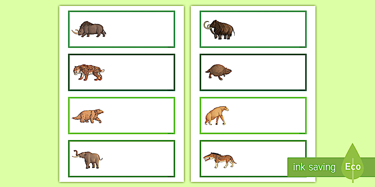 Editable Stone Age Themed Peg Drawer Name Labels - Twinkl