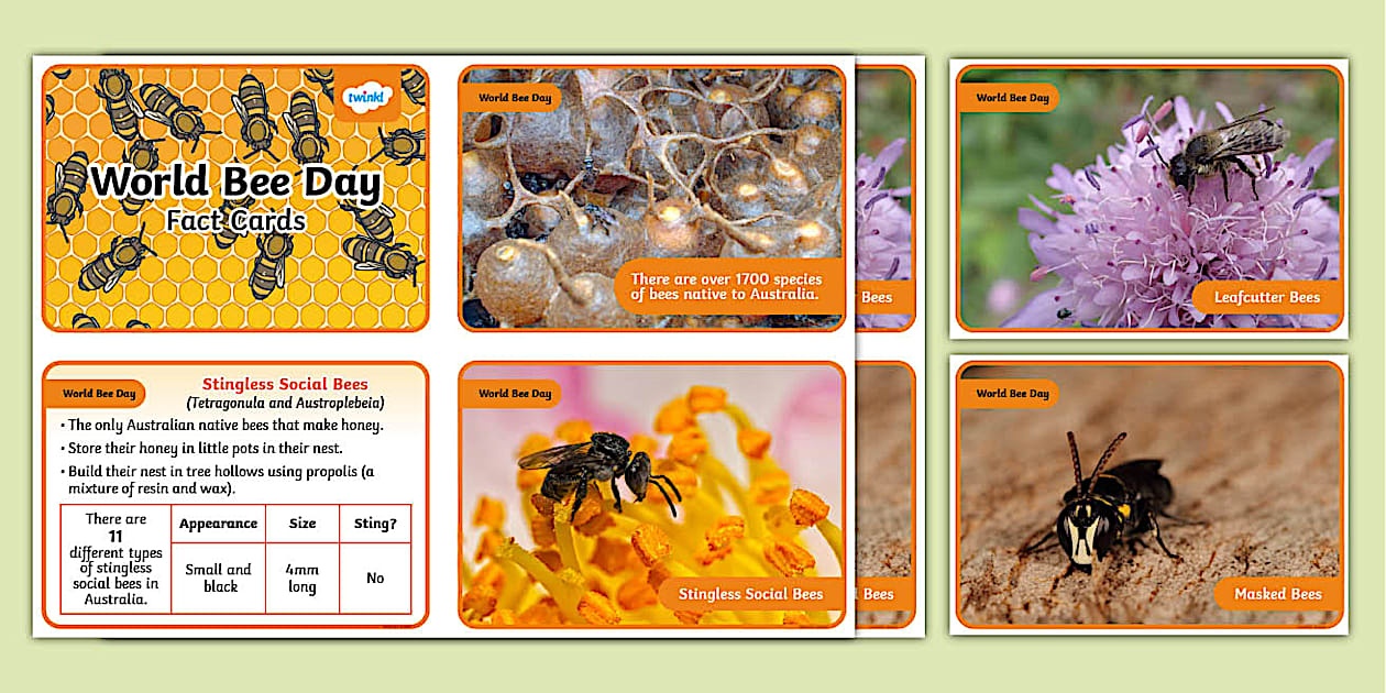 World Bee Day Fact Cards