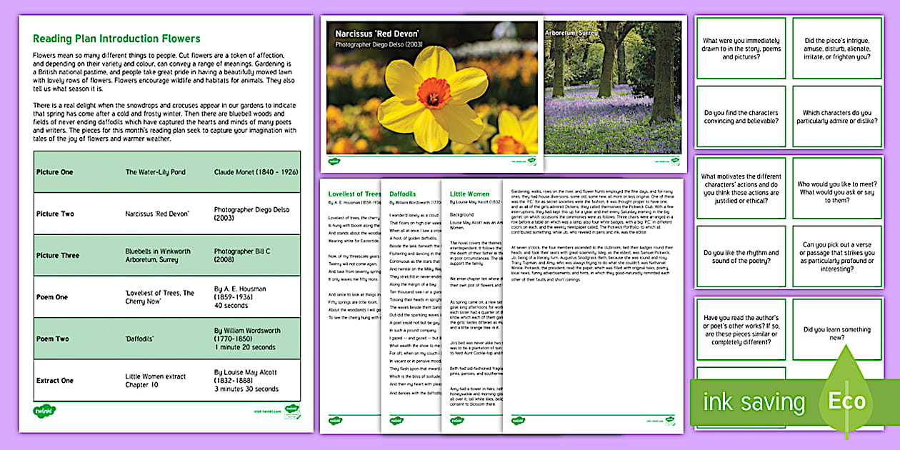 Elderly Care - Flowers Reading Plan Resource Pack - Twinkl