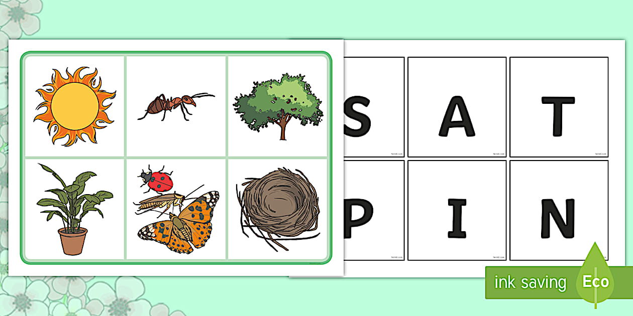 SATPIN Spring Bingo (teacher made) - Twinkl