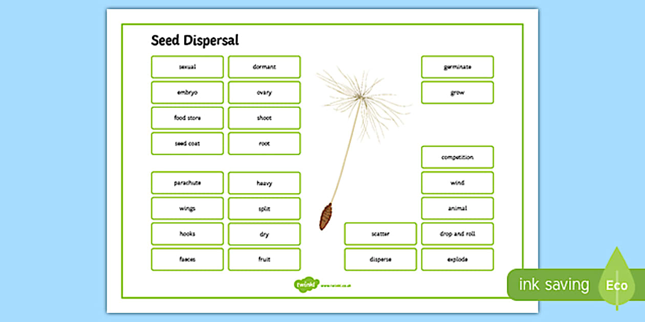 Editable Seed Dispersal Word Mat (teacher made) - Twinkl