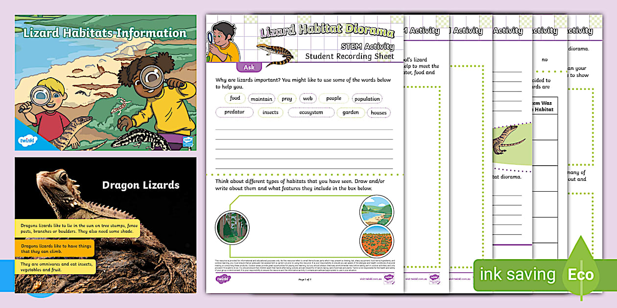 Lizard Habitat Diorama STEM Activity Pack (teacher made)