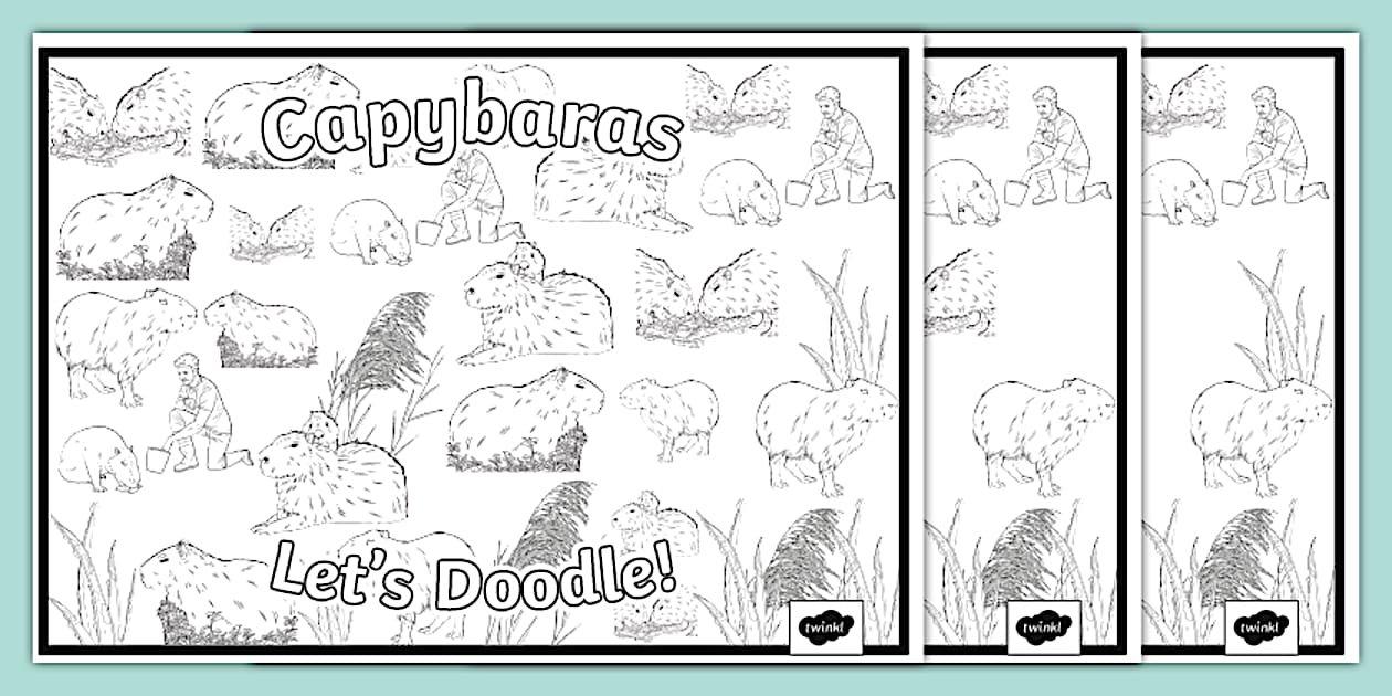 Capybara Doodle Colouring Pages (teacher made) - Twinkl